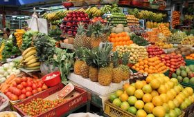 Blog - Prosagroexport